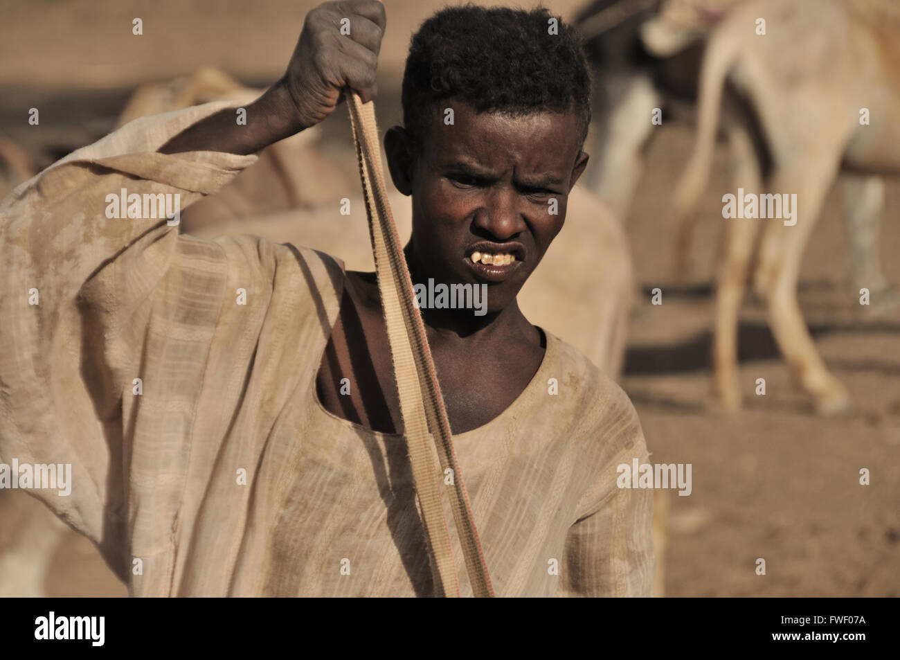 Bisharin hi-res stock photography and images - Alamy