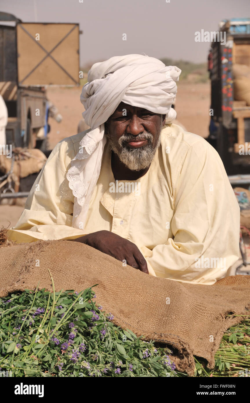 Shendi town hi-res stock photography and images - Alamy