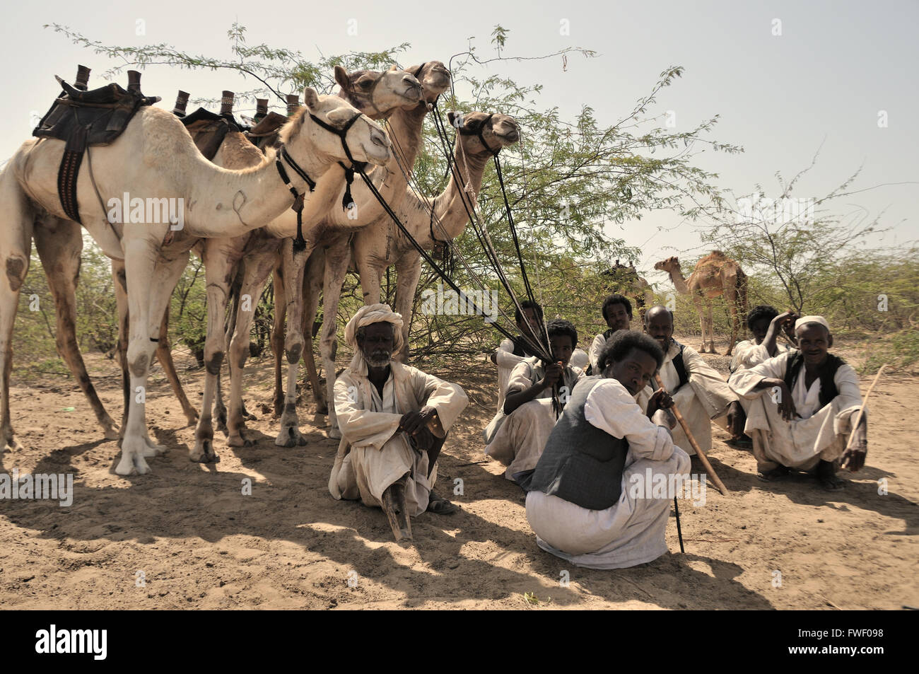 Beja tribe hi-res stock photography and images - Alamy