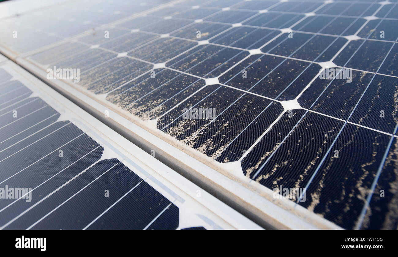 Dirty solar panels covered with pollen Stock Photo - Alamy