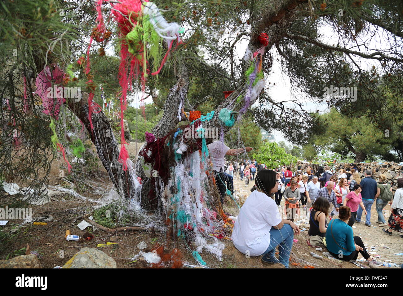 Wishes Tree High Resolution Stock Photography and Images - Alamy