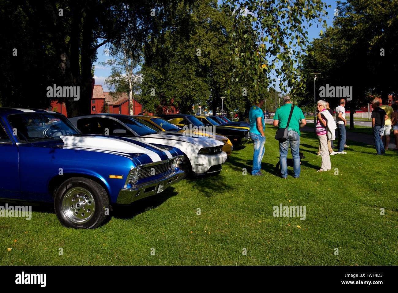 Car show with American cars in a park Stock Photo - Alamy
