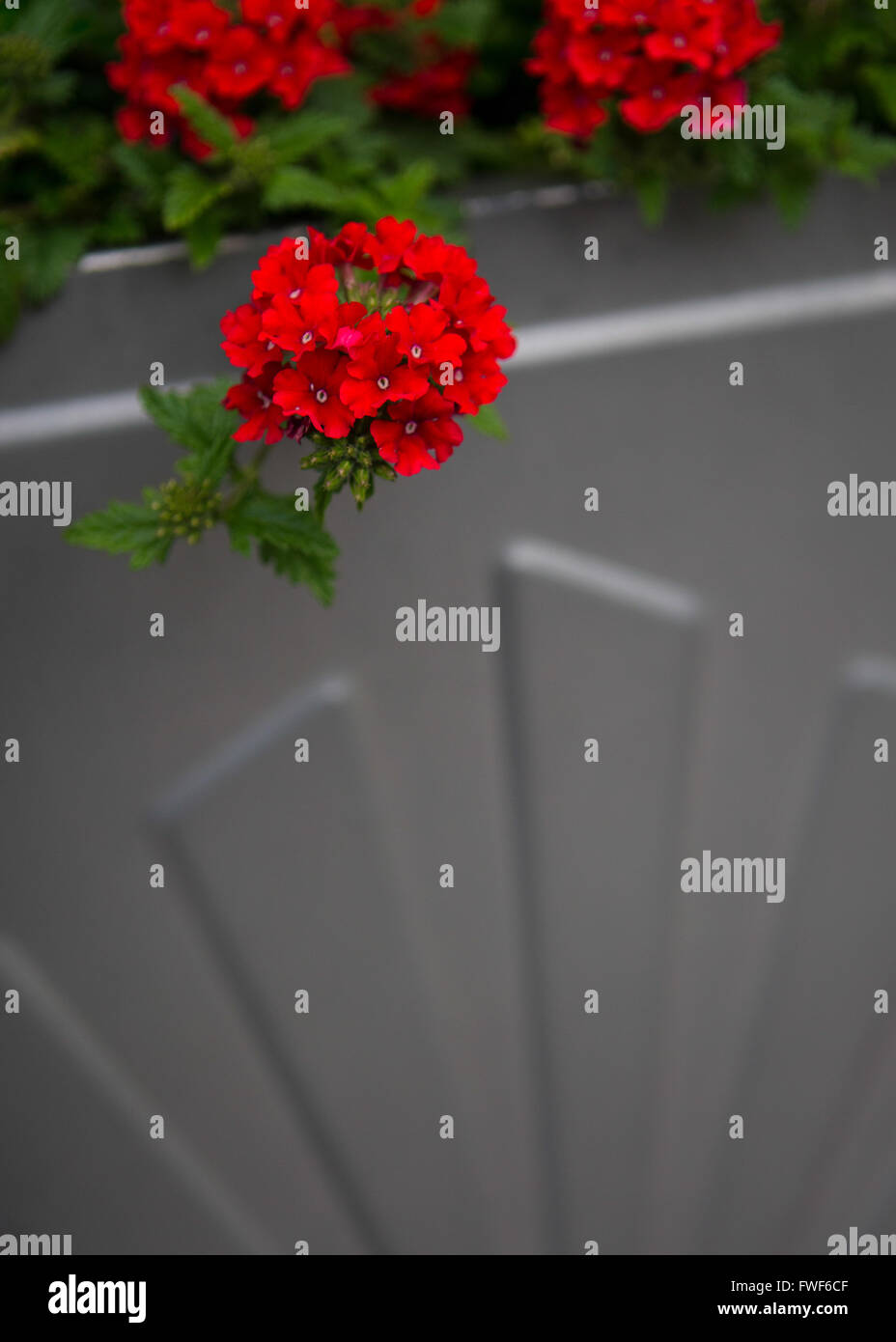Flowers in an Art Deco planter Stock Photo - Alamy