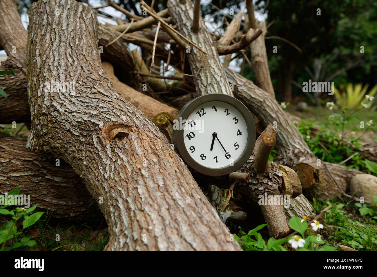 Rest awake hi-res stock photography and images - Alamy