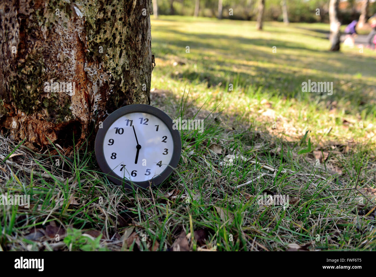 The park of clock Stock Photo - Alamy