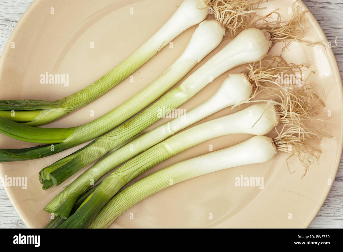 Scallions on the plate. Food theme. Healthy food. Close up photo Stock ...