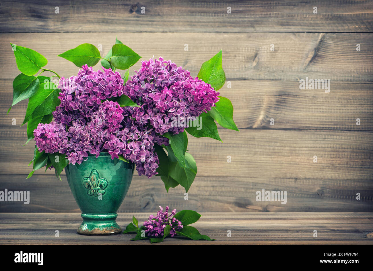 Vintage lilac hi-res stock photography and images - Alamy
