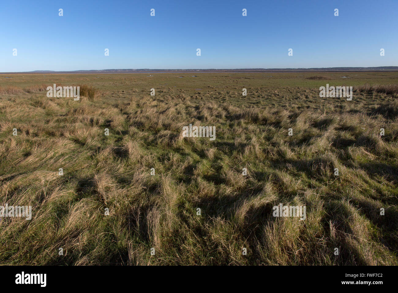 The Wales Coastal Path in North Wales. Flint Marsh and the River Dee ...
