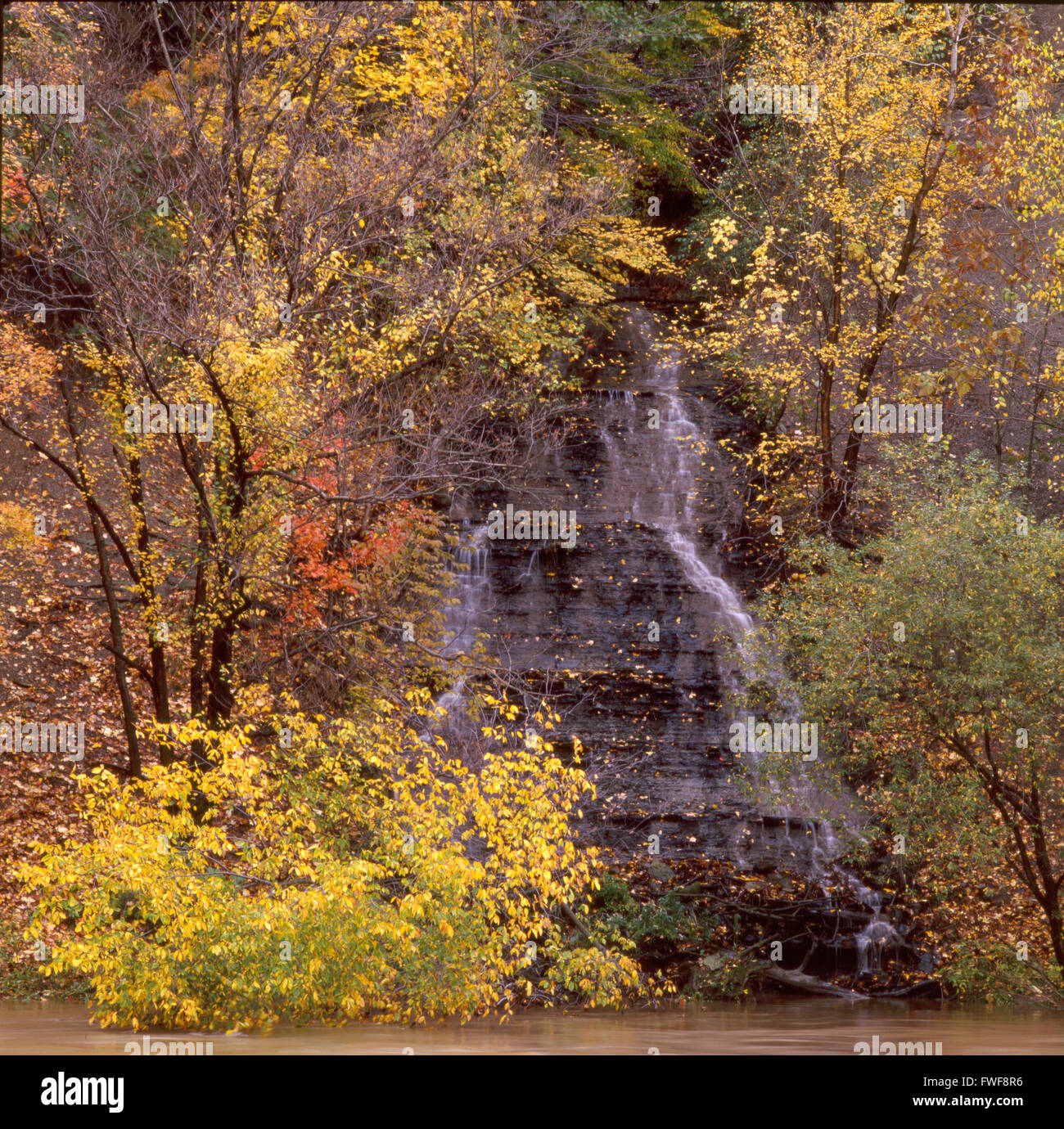 Small waterfall over shale cliffs is framed by fall foliage Stock Photo ...