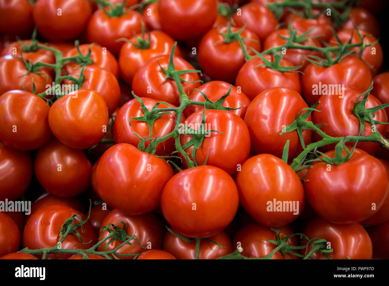 A display of vine ripened red tomatoes at a grocery store Stock Photo ...