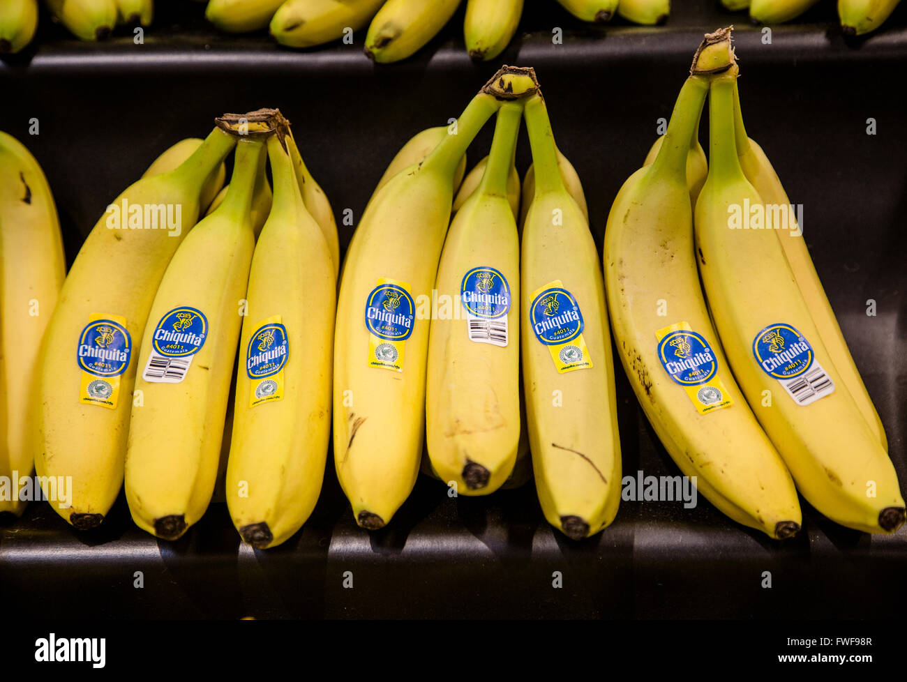 a display of banana bunches in the produce section of a grocery store ...