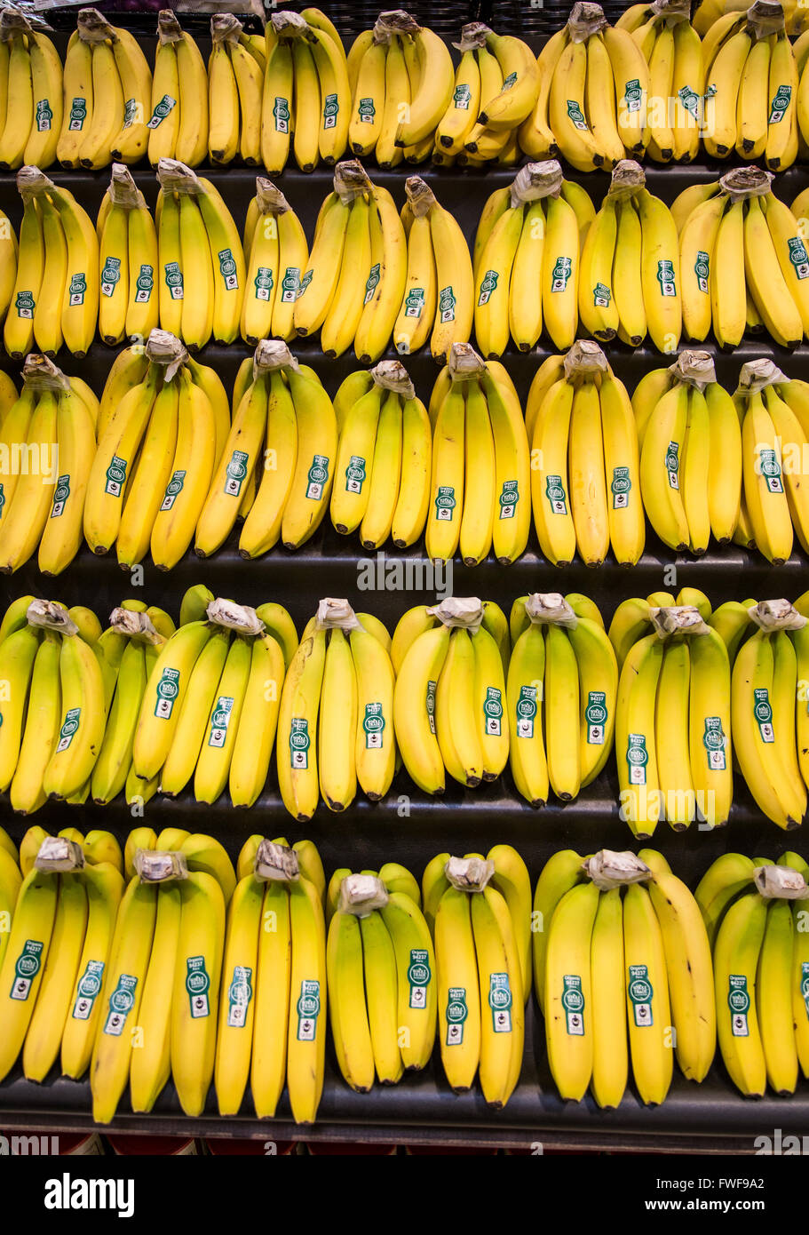a display of banana bunches in the produce section of a grocery store ...