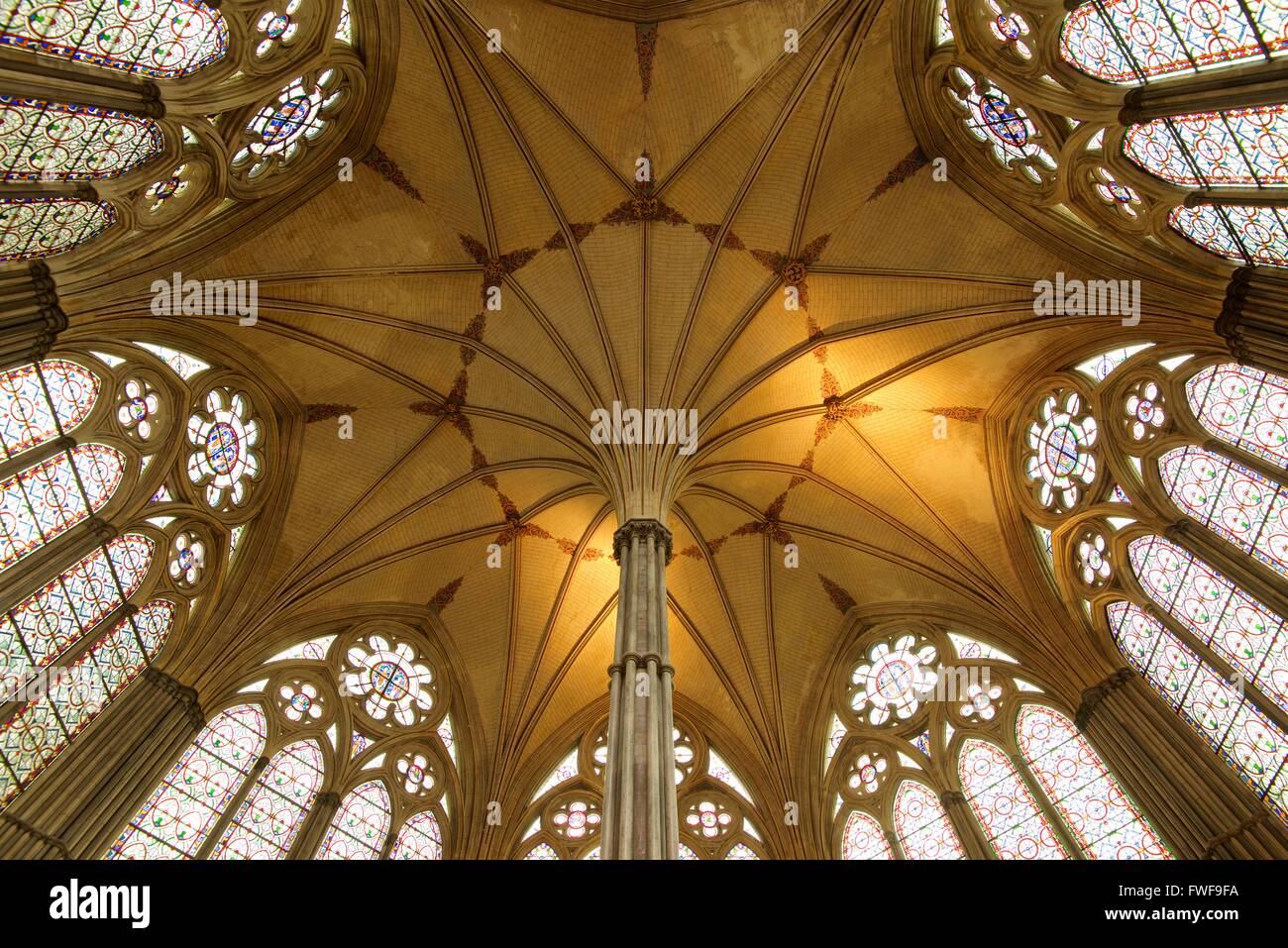Salisbury cathedral chapter house hi-res stock photography and images ...