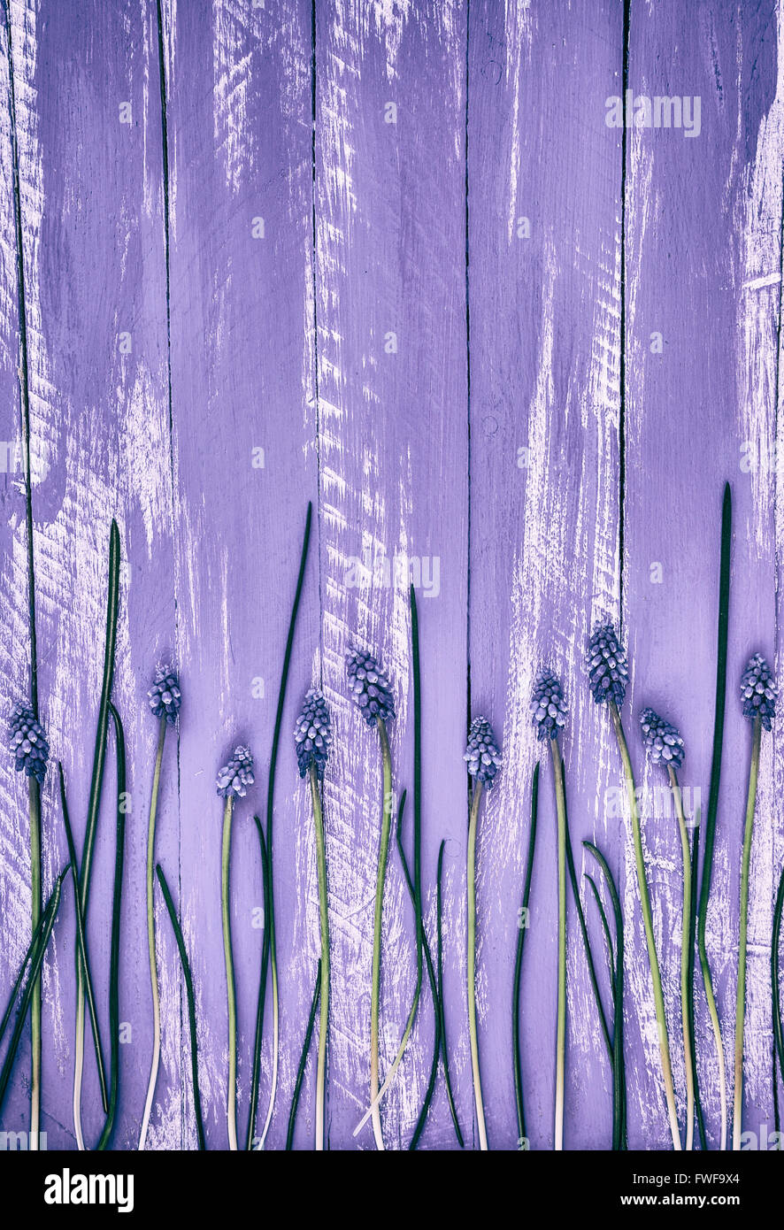 Vintage wooden abstract purple background with flowers for a designer ...