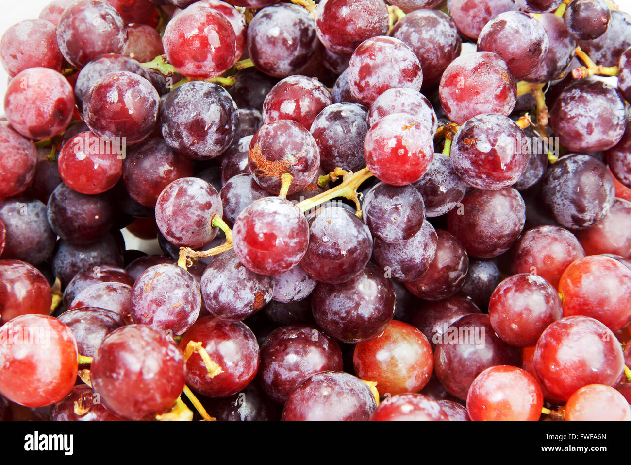 Red seedless hi-res stock photography and images - Alamy