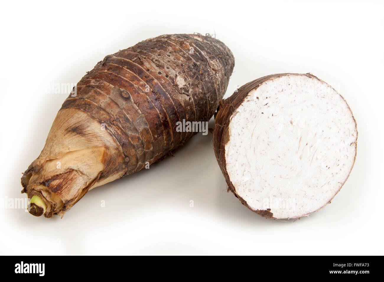 Head two taro split on white background Stock Photo - Alamy