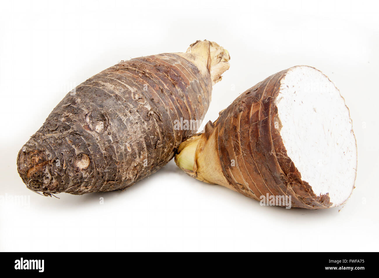 Head two taro split on white background Stock Photo - Alamy