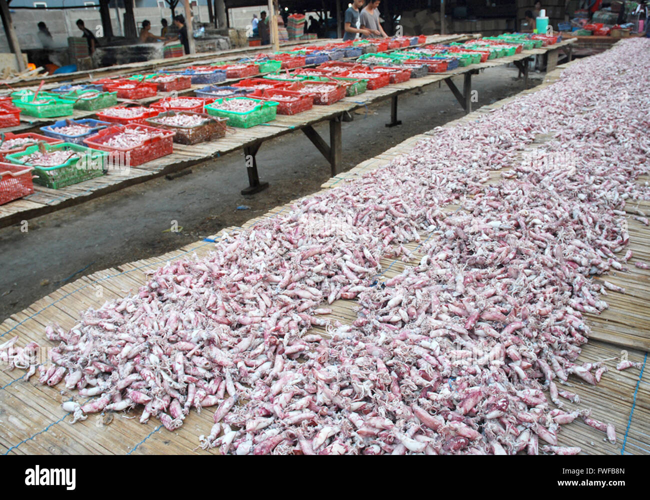 Jakarta, Indonesia. 07th Oct, 2015. The township of making salted fish ...