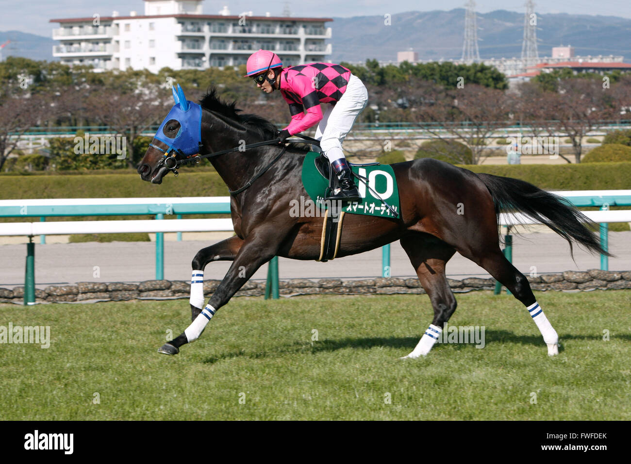 Hyogo, Japan. 26th Mar, 2016. Smart Odin (Keita Tosaki) Horse Racing ...