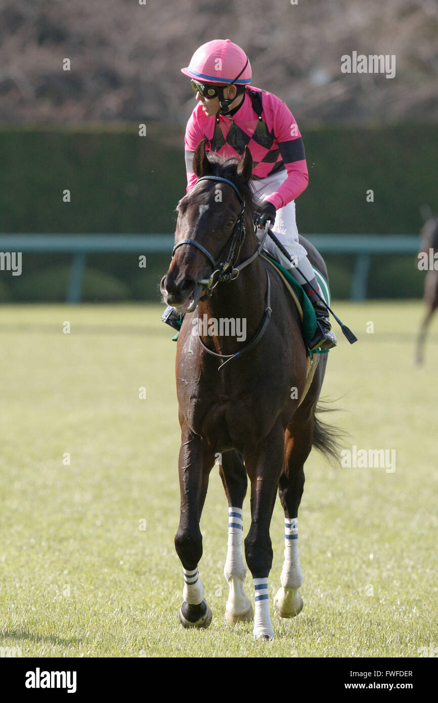 Hyogo, Japan. 26th Mar, 2016. Smart Odin (Keita Tosaki) Horse Racing ...