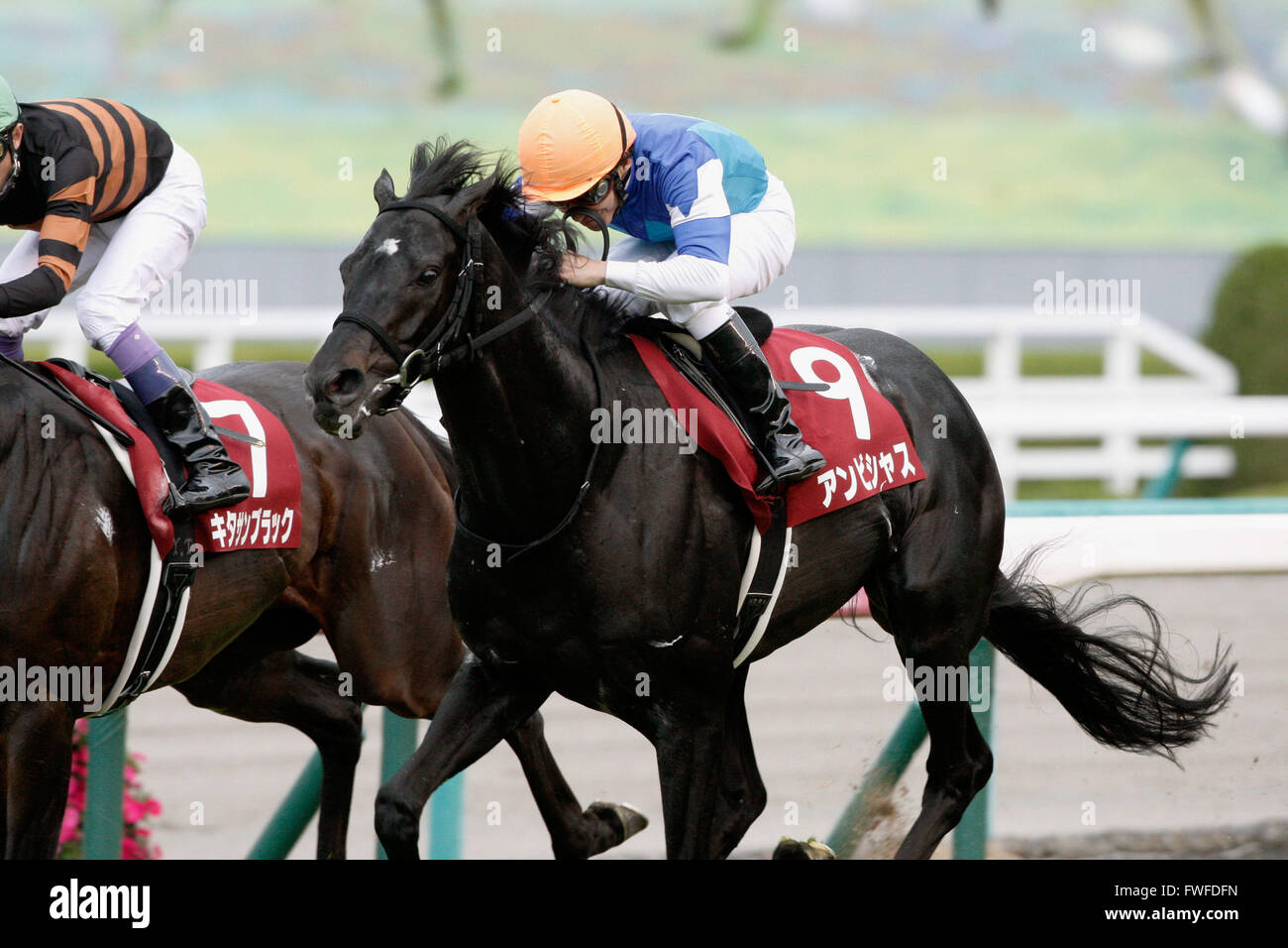 Hyogo, Japan. 3rd Apr, 2016. Ambitious (Norihiro Yokoyama) Horse Racing ...