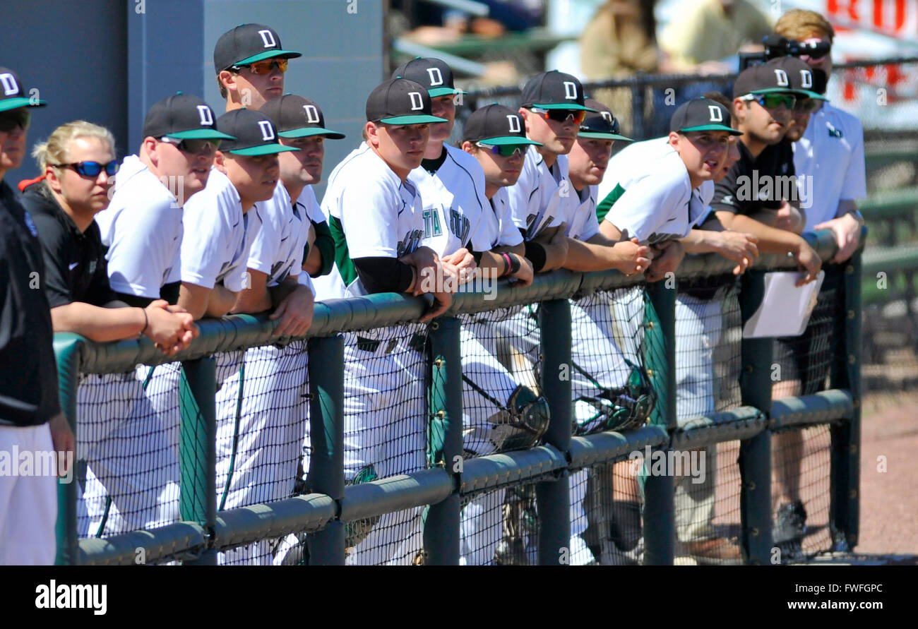 Cleveland, MS, USA. 03rd Apr, 2016. Several Delta State players watch ...