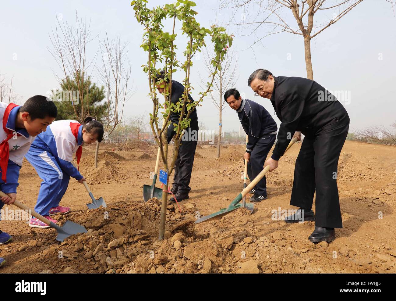 The national leaders tree hi-res stock photography and images - Alamy