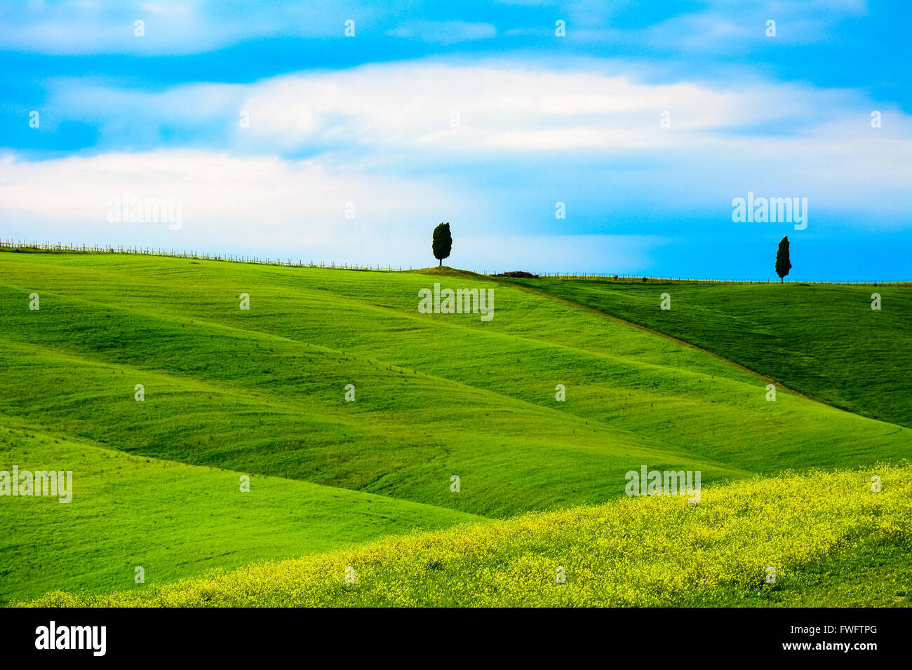 Green hills with flowers and trees Stock Photo - Alamy