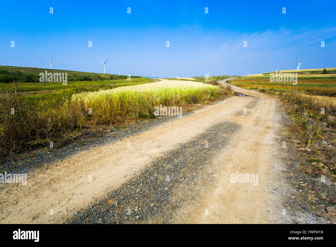 Grassland scenery in Hebei province, China Stock Photo - Alamy