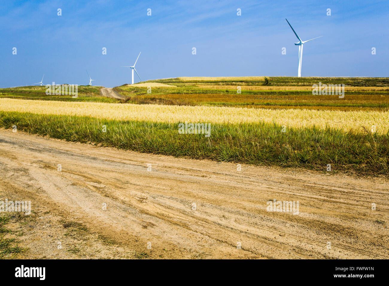 Grassland scenery in Hebei province, China Stock Photo - Alamy