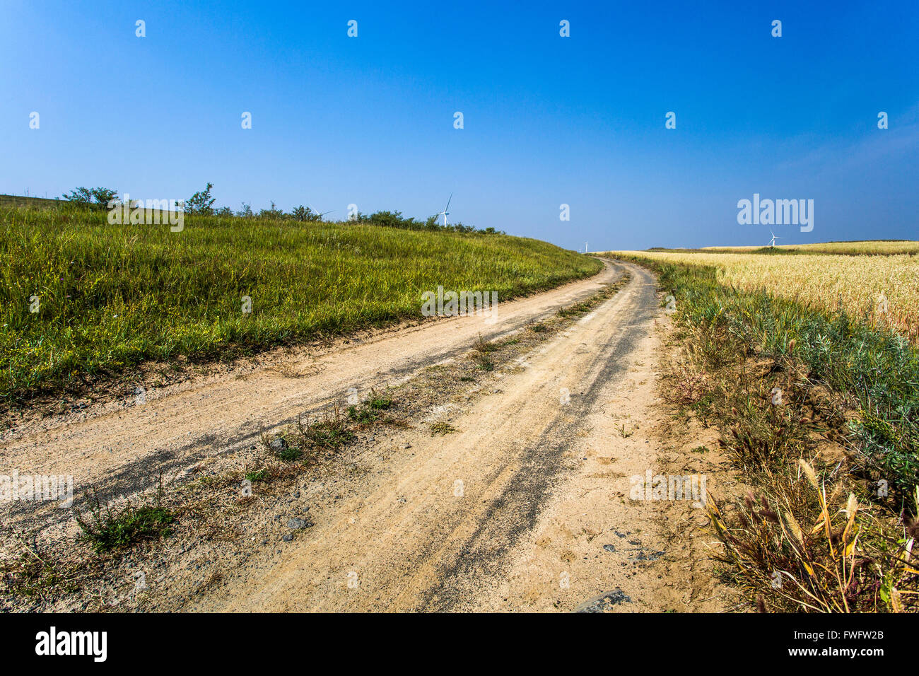 Grassland scenery in Hebei province, China Stock Photo - Alamy