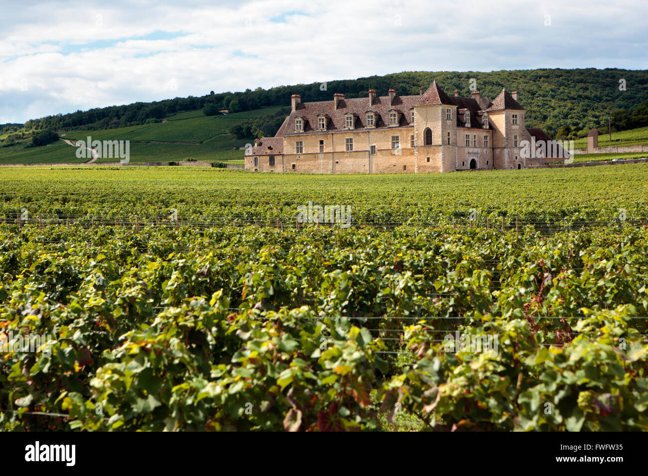 Burgundy vineyard High Resolution Stock Photography and Images - Alamy