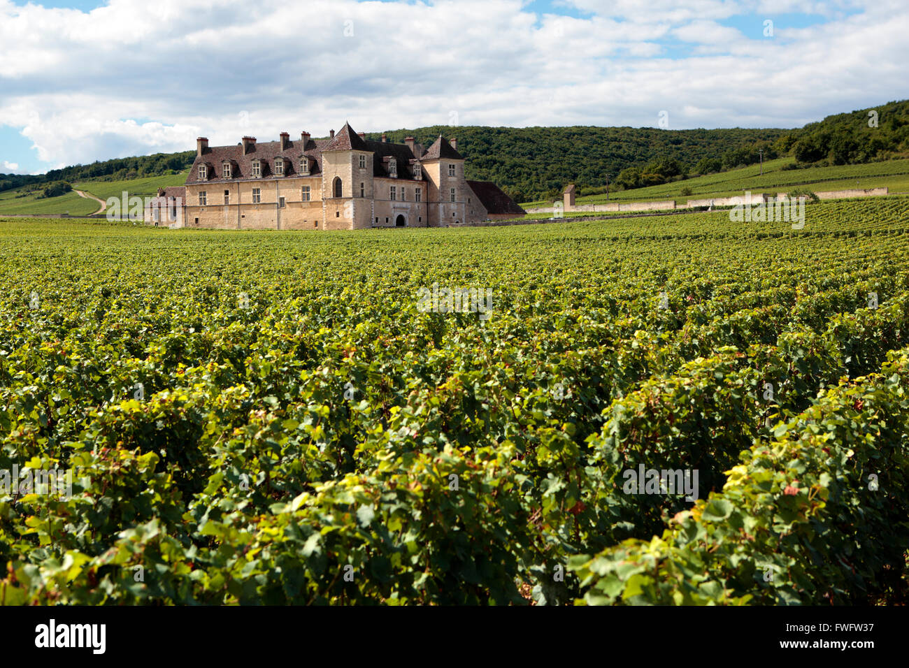 Chateau burgundy vineyard hi-res stock photography and images - Alamy