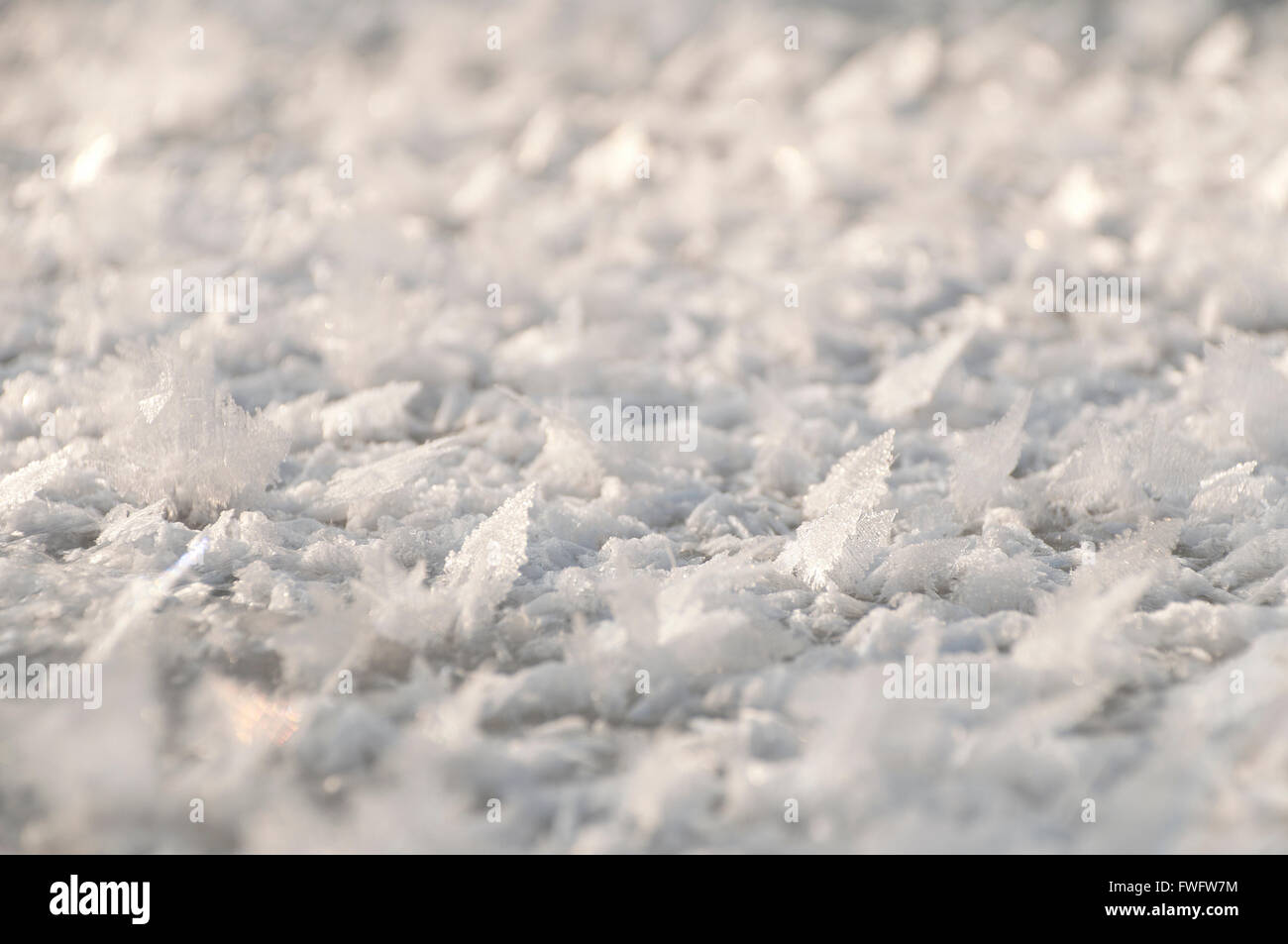 Ice crystals on the frozen lake Stock Photo - Alamy