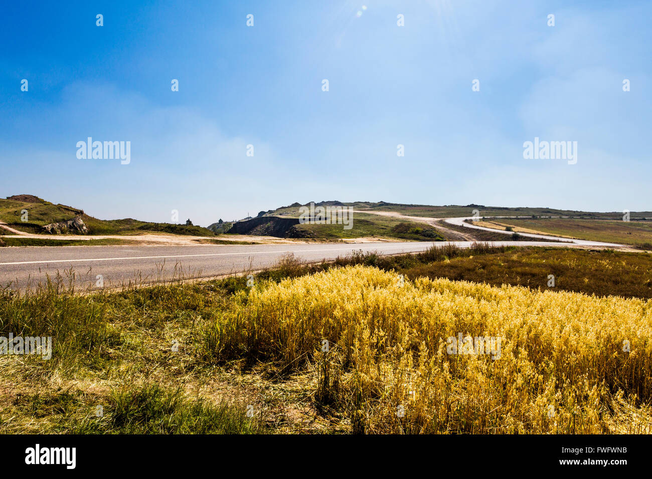 Grassland scenery in Hebei province, China Stock Photo - Alamy