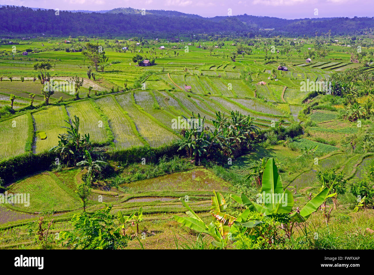 Man made terraces hi-res stock photography and images - Alamy