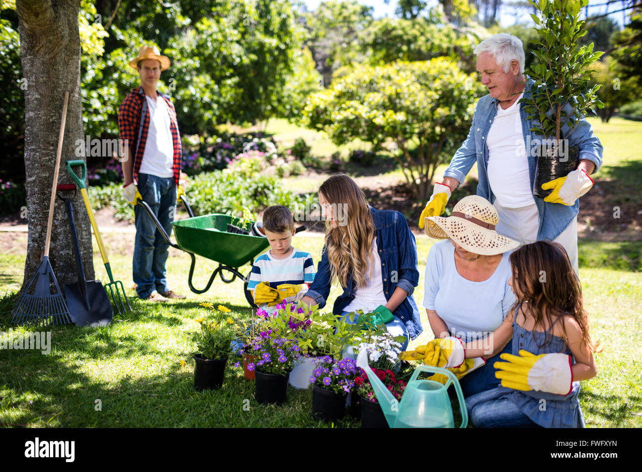 Multi-generation family gardening in the park Stock Photo - Alamy