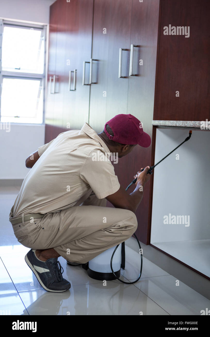 Man spraying insects pest control hi-res stock photography and images ...