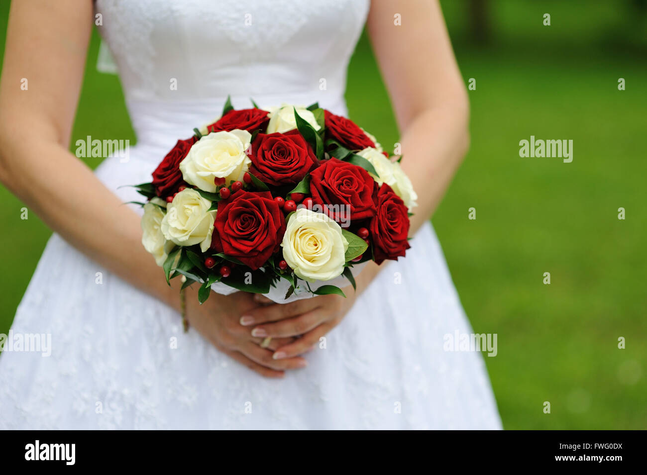 red and white wedding bouquet of roses in the hands of the bride Stock ...