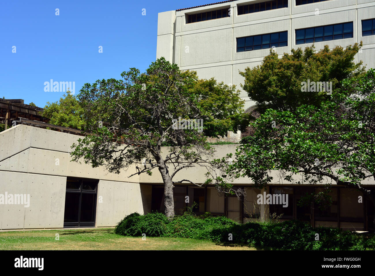 University of California Berkeley USA on a summer day in June Stock ...