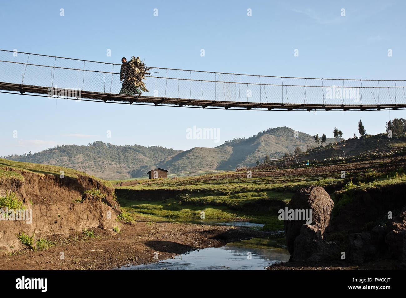 A woman is crossing a suspension bridge. She is carrying livestock feed ...
