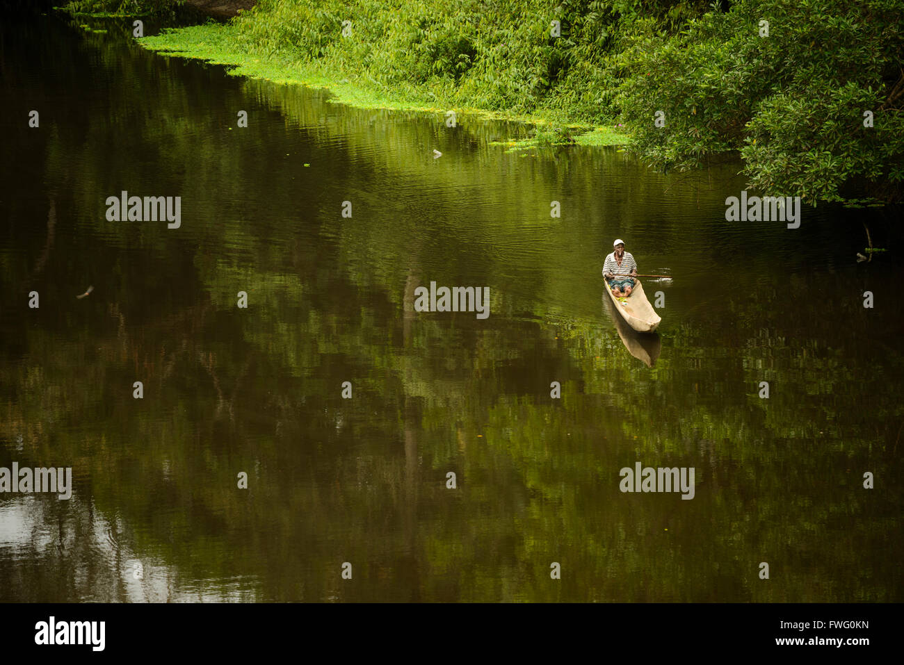 The rivers of the rainforest, Gabon, Central Africa Stock Photo - Alamy
