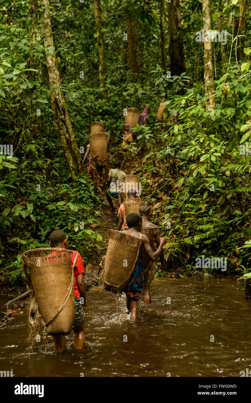 African Forest People Life