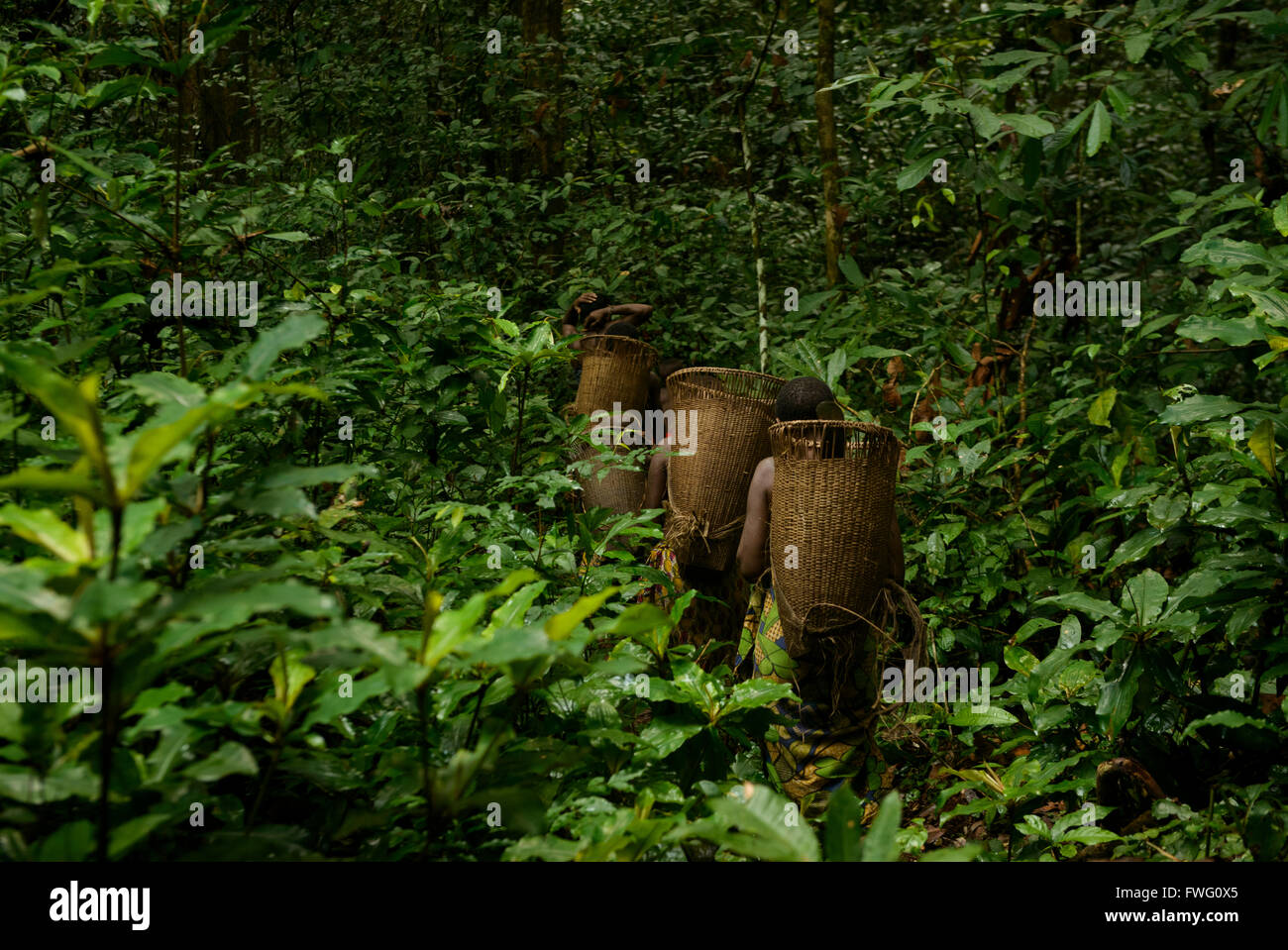 Baka pygmy woman hi-res stock photography and images - Alamy