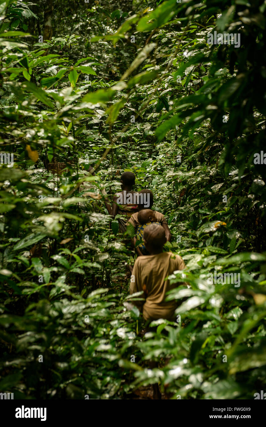 African rainforest people hi-res stock photography and images - Alamy