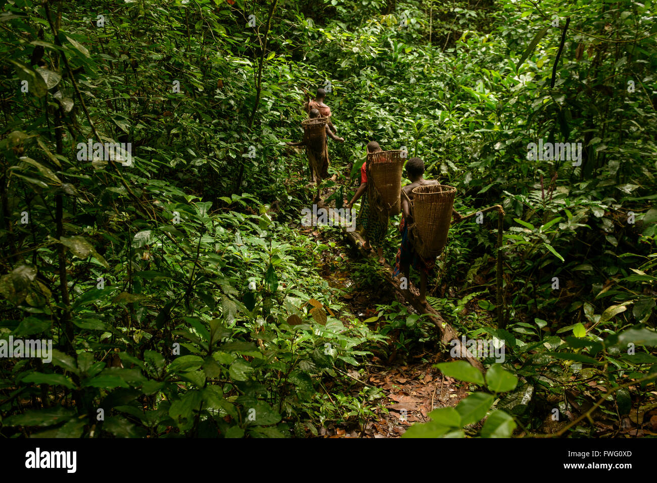 Baka pygmy woman hi-res stock photography and images - Alamy