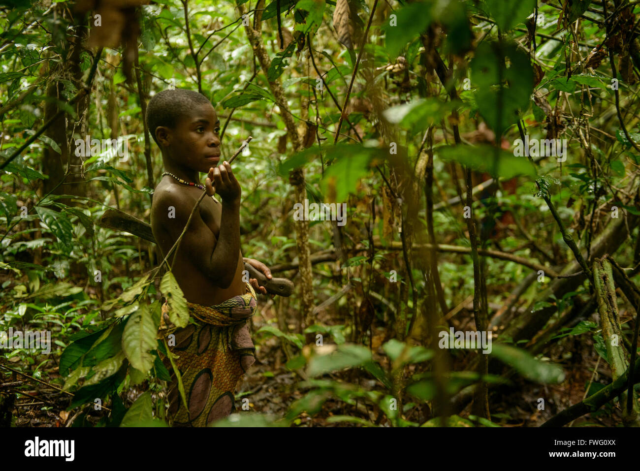 Bayaka Pygmies in the equatorial rainforest, Central African Republic ...