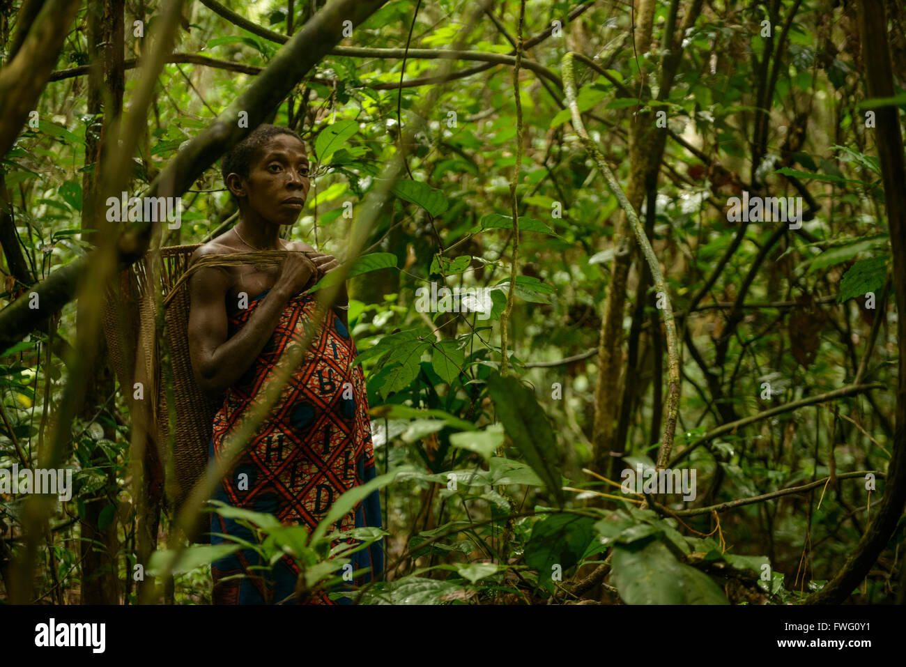 Bayaka Pygmies in the equatorial rainforest, Central African Republic ...
