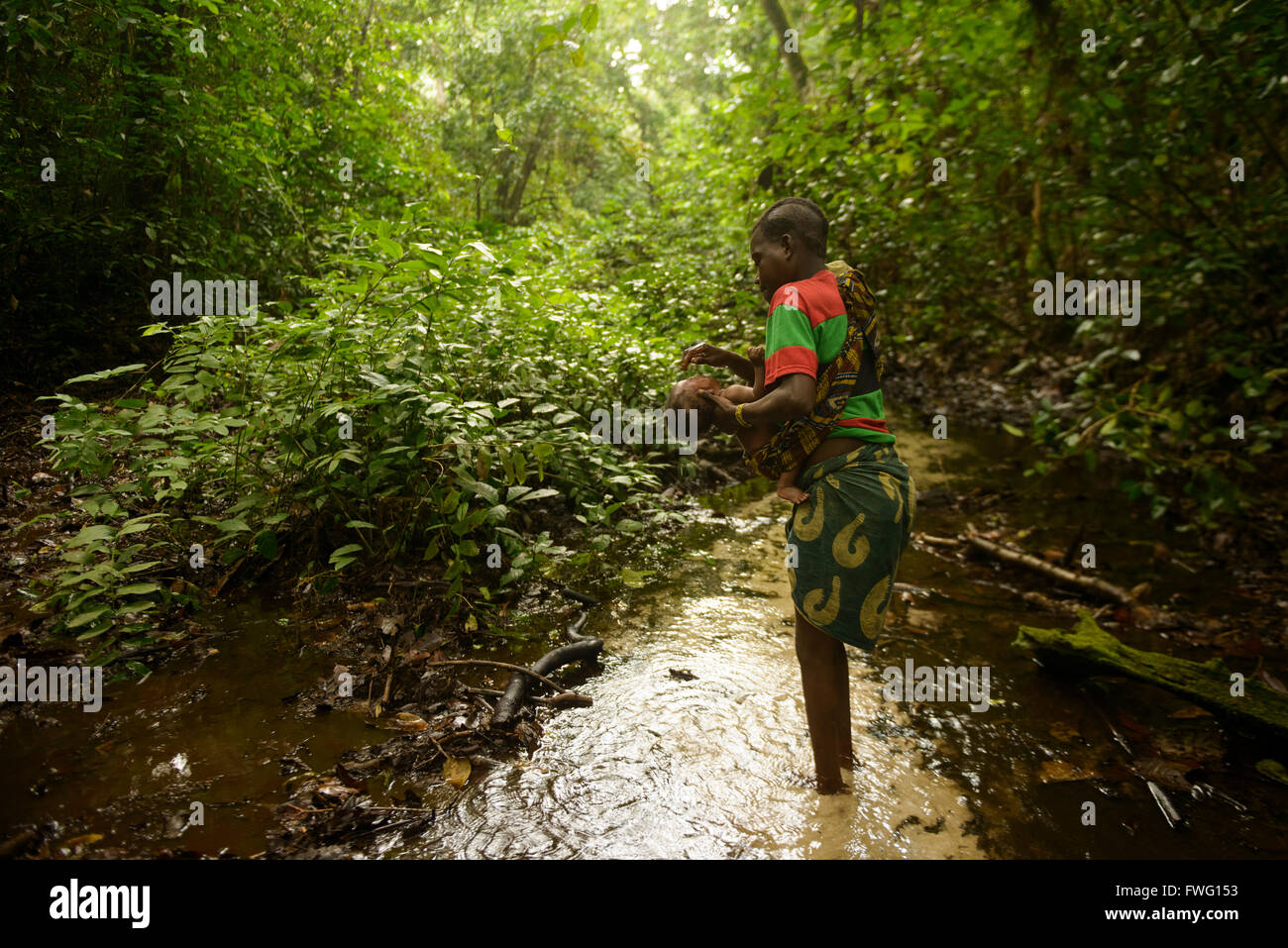 Bayaka Pygmies in the equatorial rainforest, Central African Republic ...