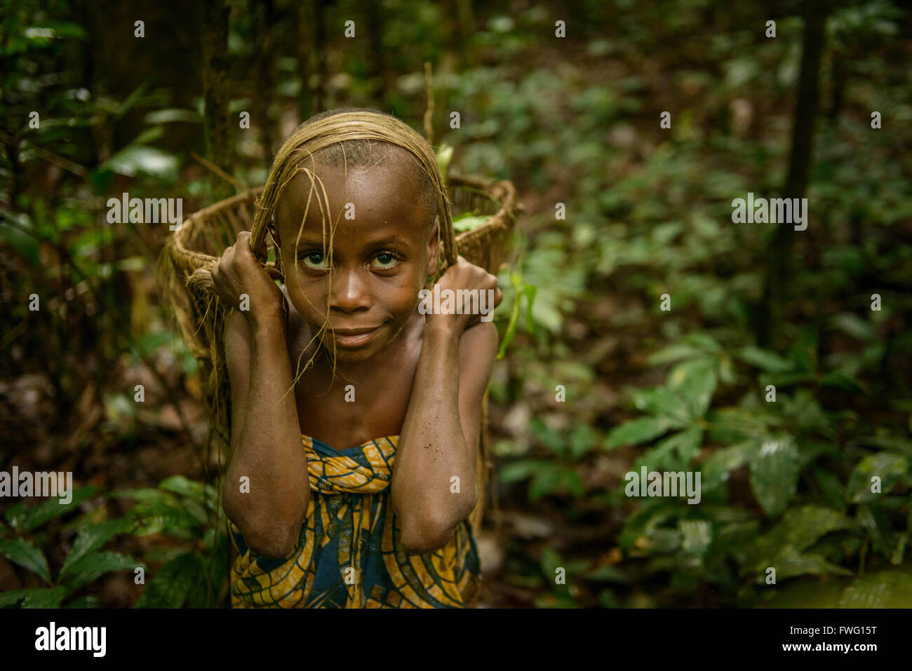 Bayaka Pygmies in the equatorial rainforest, Central African Republic ...